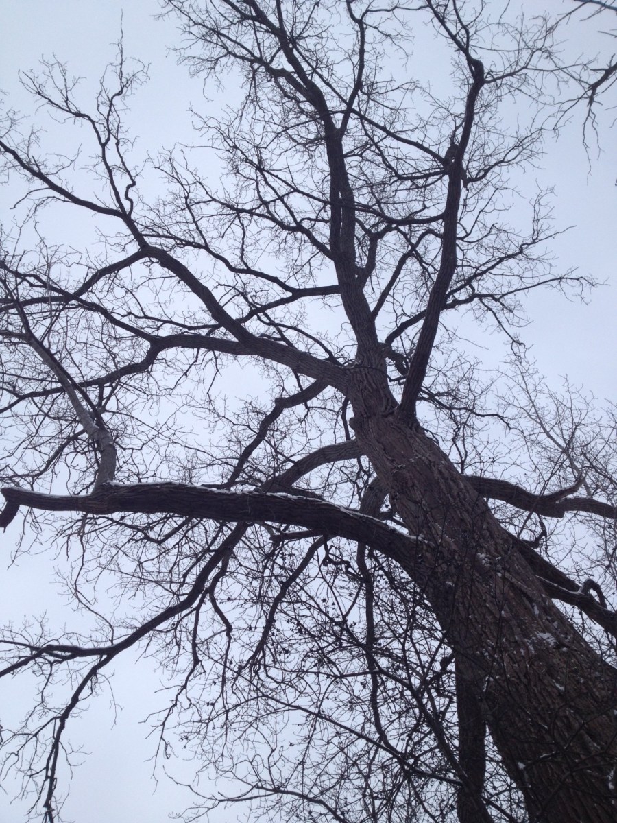 A Season – The Heroine's Adventure